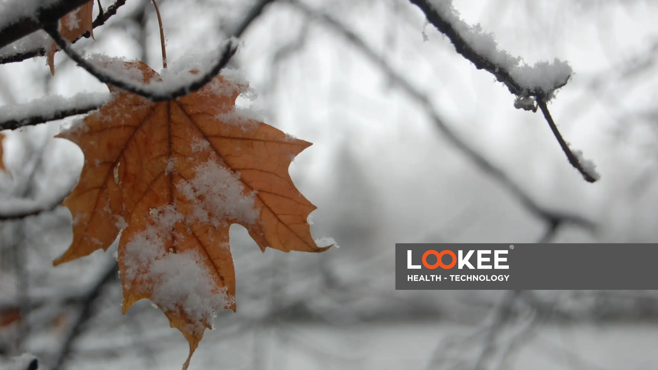 The Benefits of Using a Pulse Oximeter for Winter Health in Canada ...